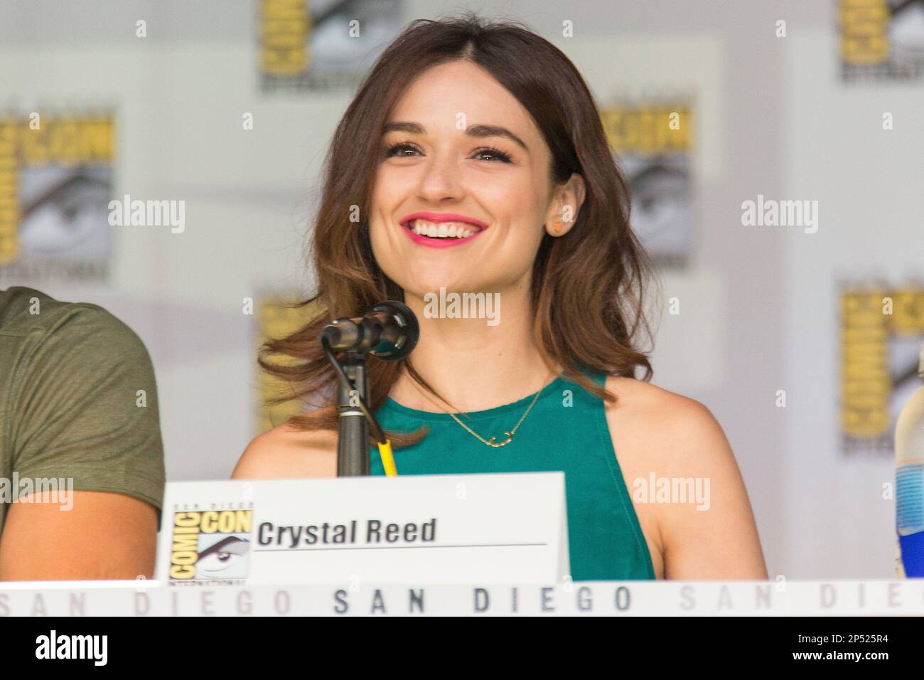 Crystal Reed 2013 Comic Con
