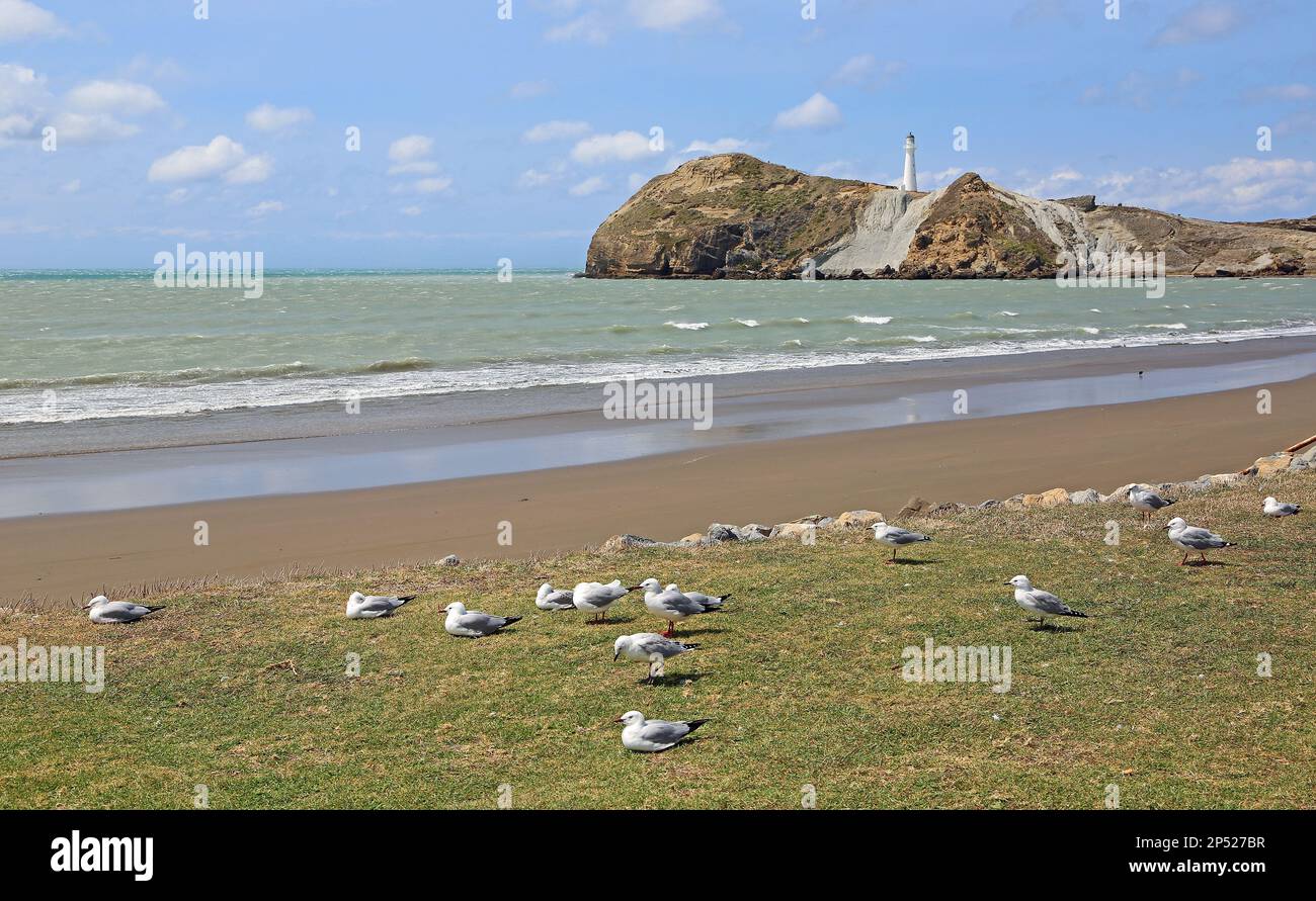 The beach, birds and lighthouse - Castlepoint - New Zealand Stock Photo ...