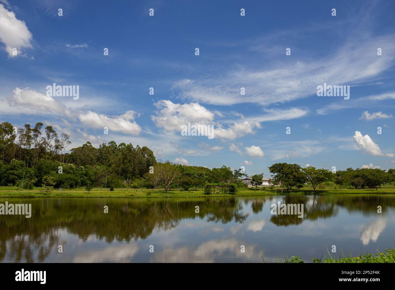 Parque leolidio di ramos caiado hi-res stock photography and images - Alamy
