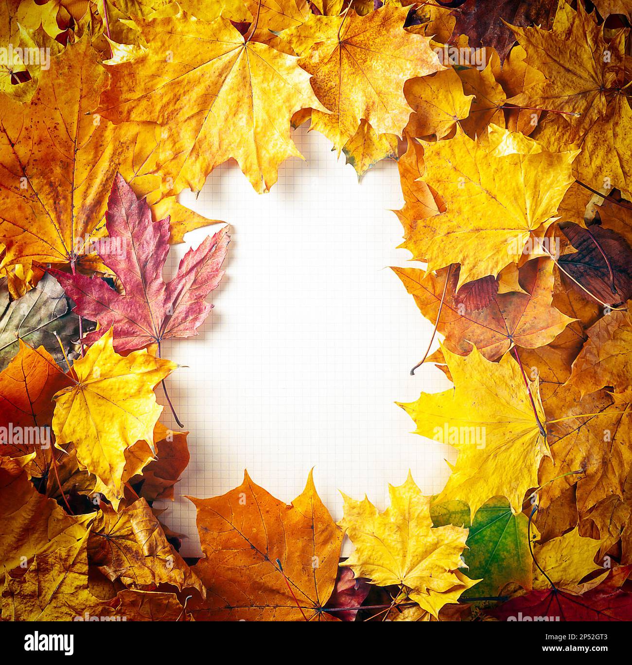 Autumn concept - background of dry fallen autumn leaves with space for ...