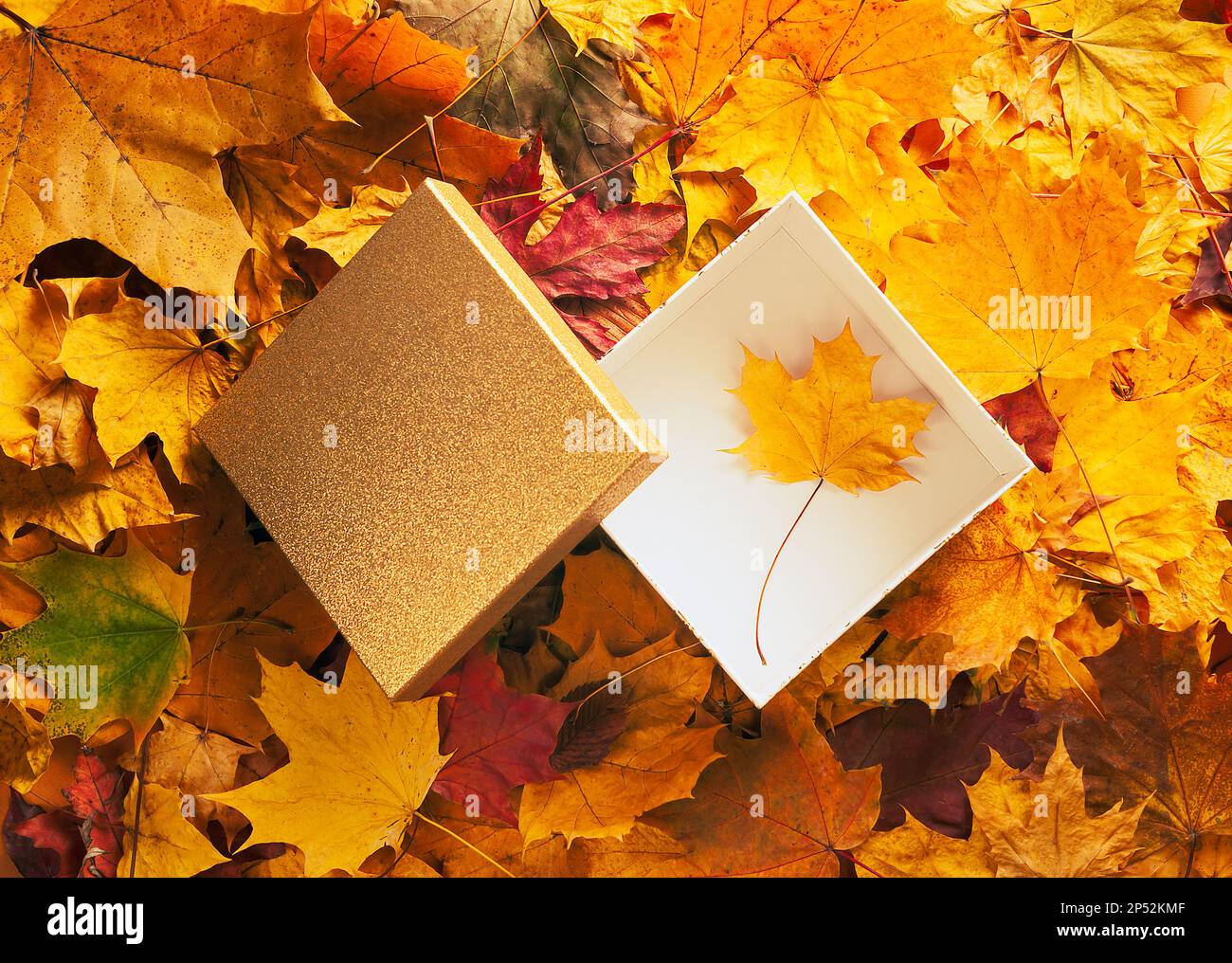 Autumn concept - background of dry fallen autumn leaves with an open ...