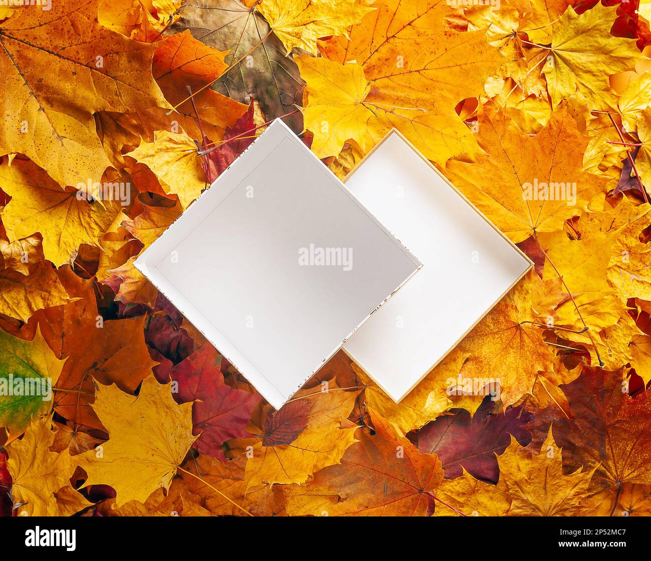 Autumn concept - background of dry fallen autumn leaves with an open ...