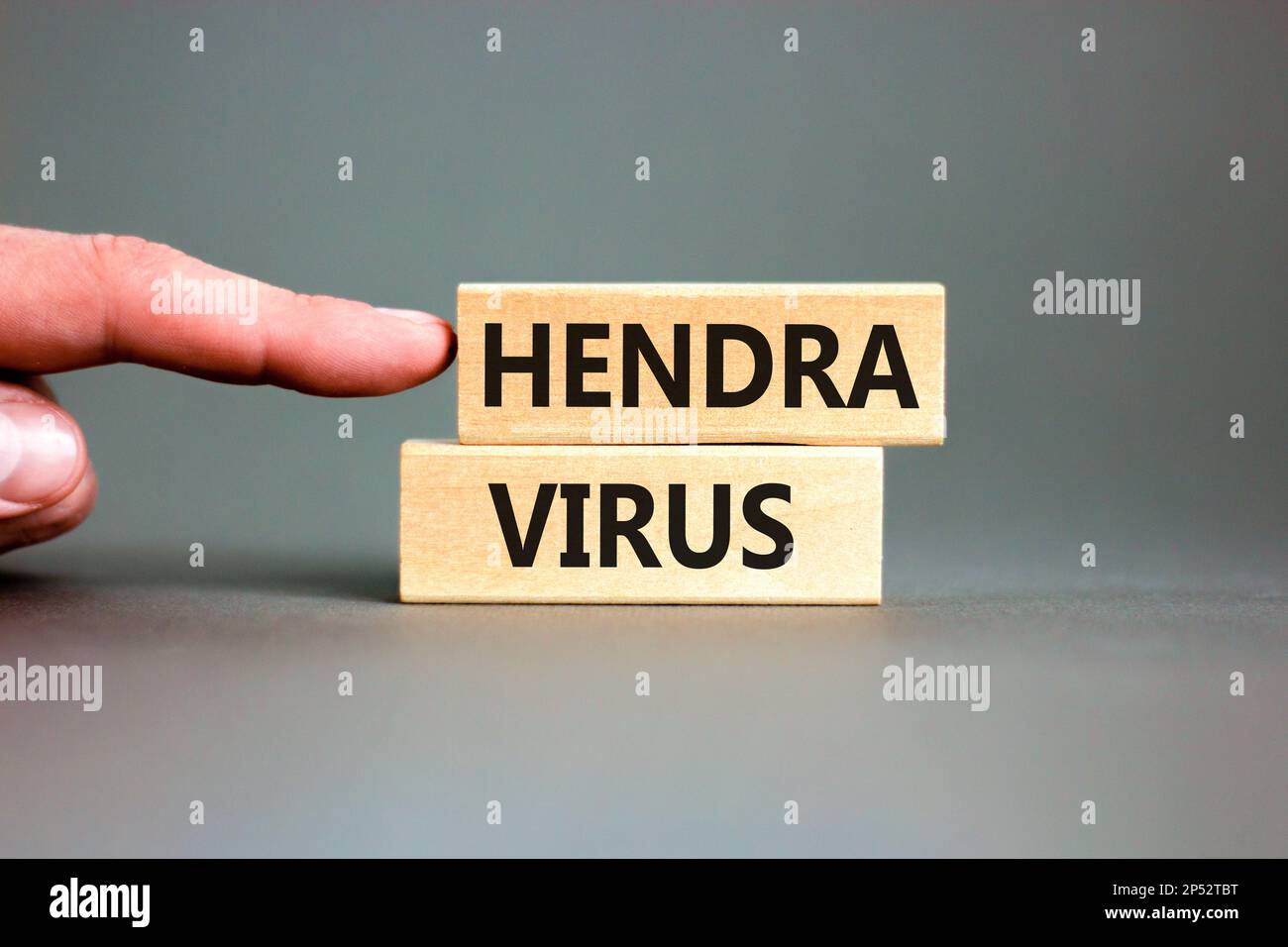 Hendra virus symbol. Concept words Hendra virus on wooden block ...