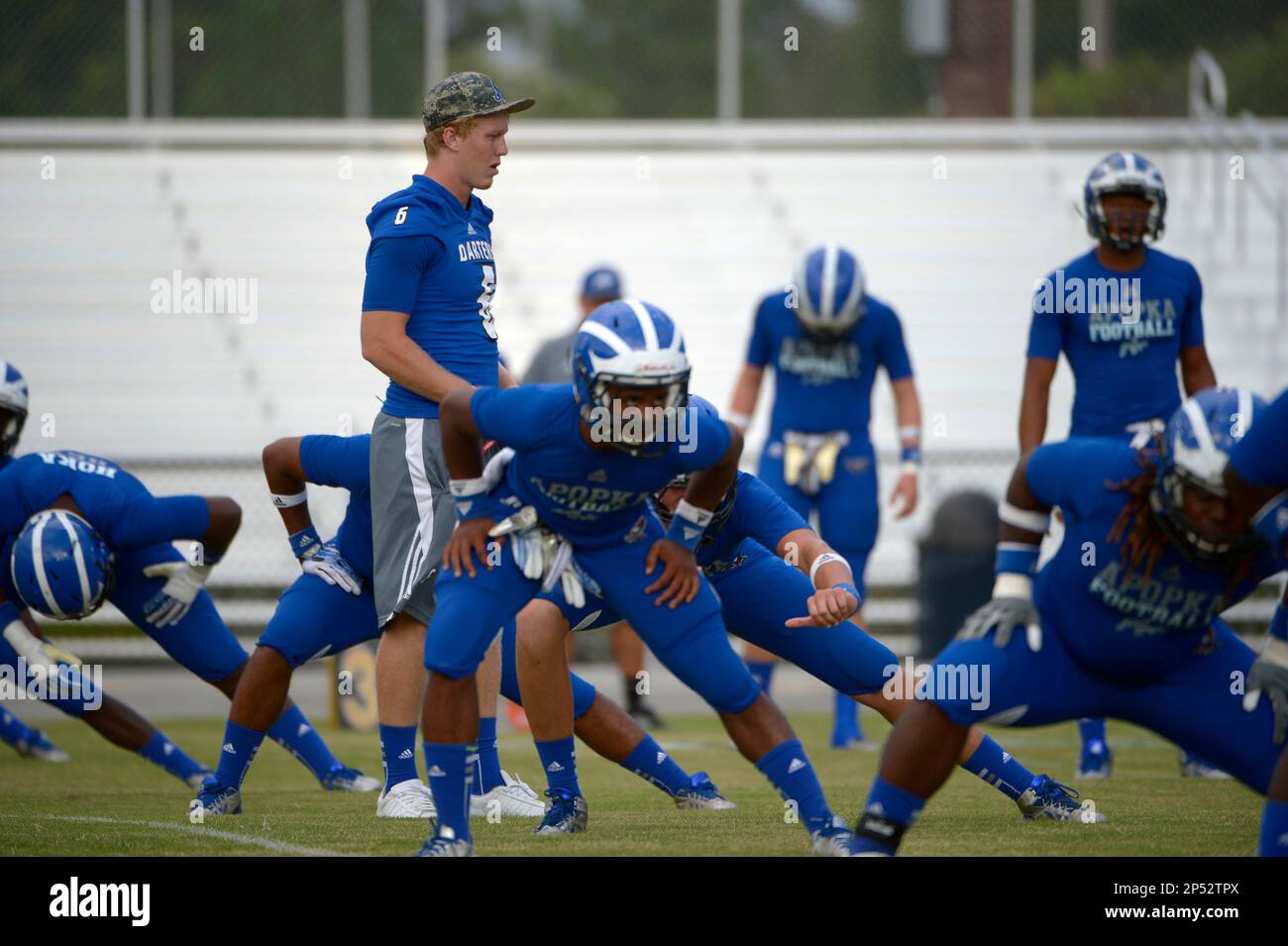 Apopka quarterback Zack Darlington (6) watches his teammates stretch ...