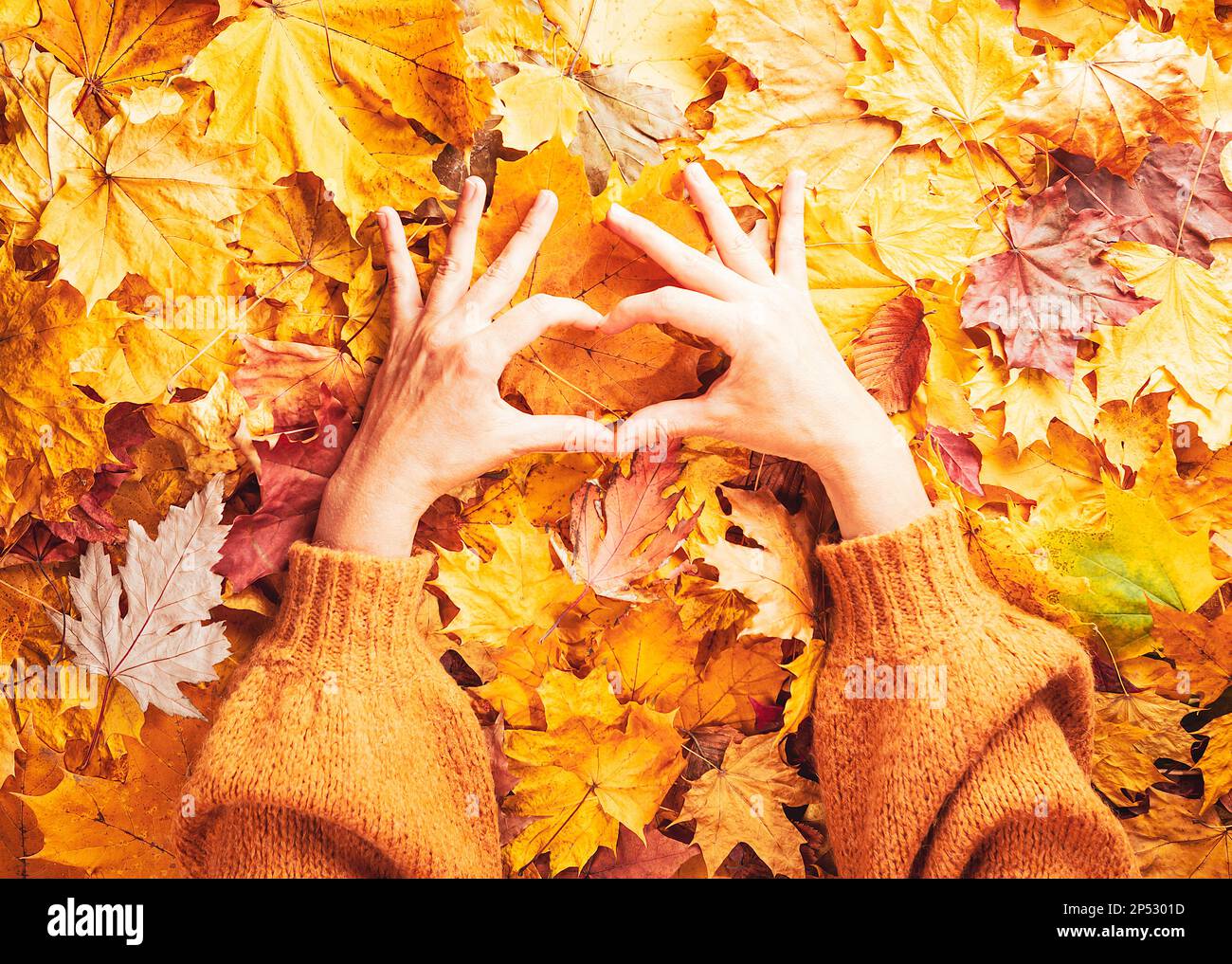 autumn mood - woman's hands showing a heart shape Stock Photo - Alamy