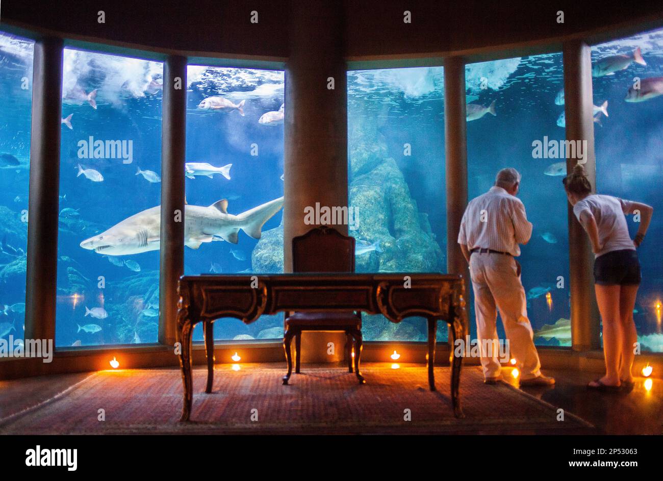 bull shark in Aquarium Finisterrae, Casa de Los Peces, Nautilus Hall ...