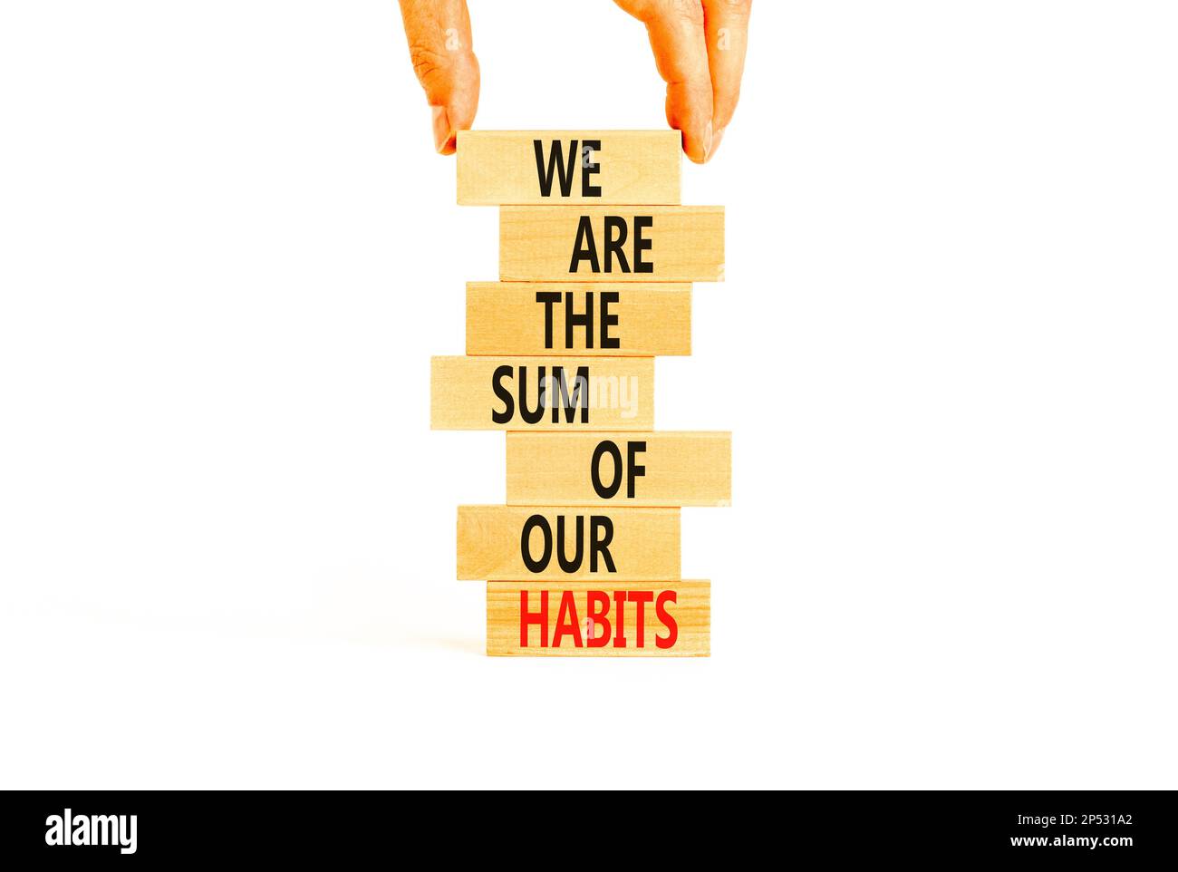 Our habits symbol. Concept words We are the sum of our habits on wooden ...