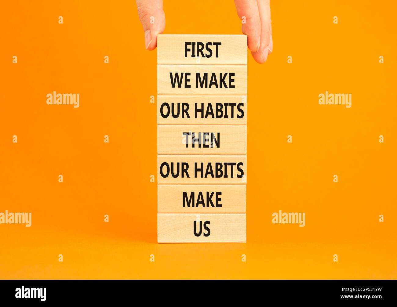 Our habits symbol. Concept words First we make our habits then our ...
