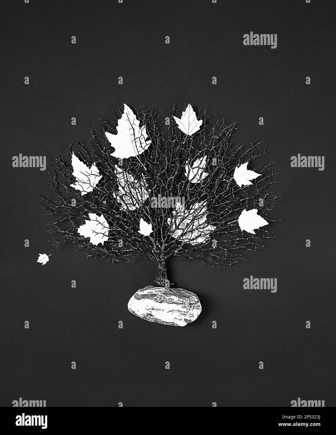 Composition depicts tree in autumn Stock Photo - Alamy