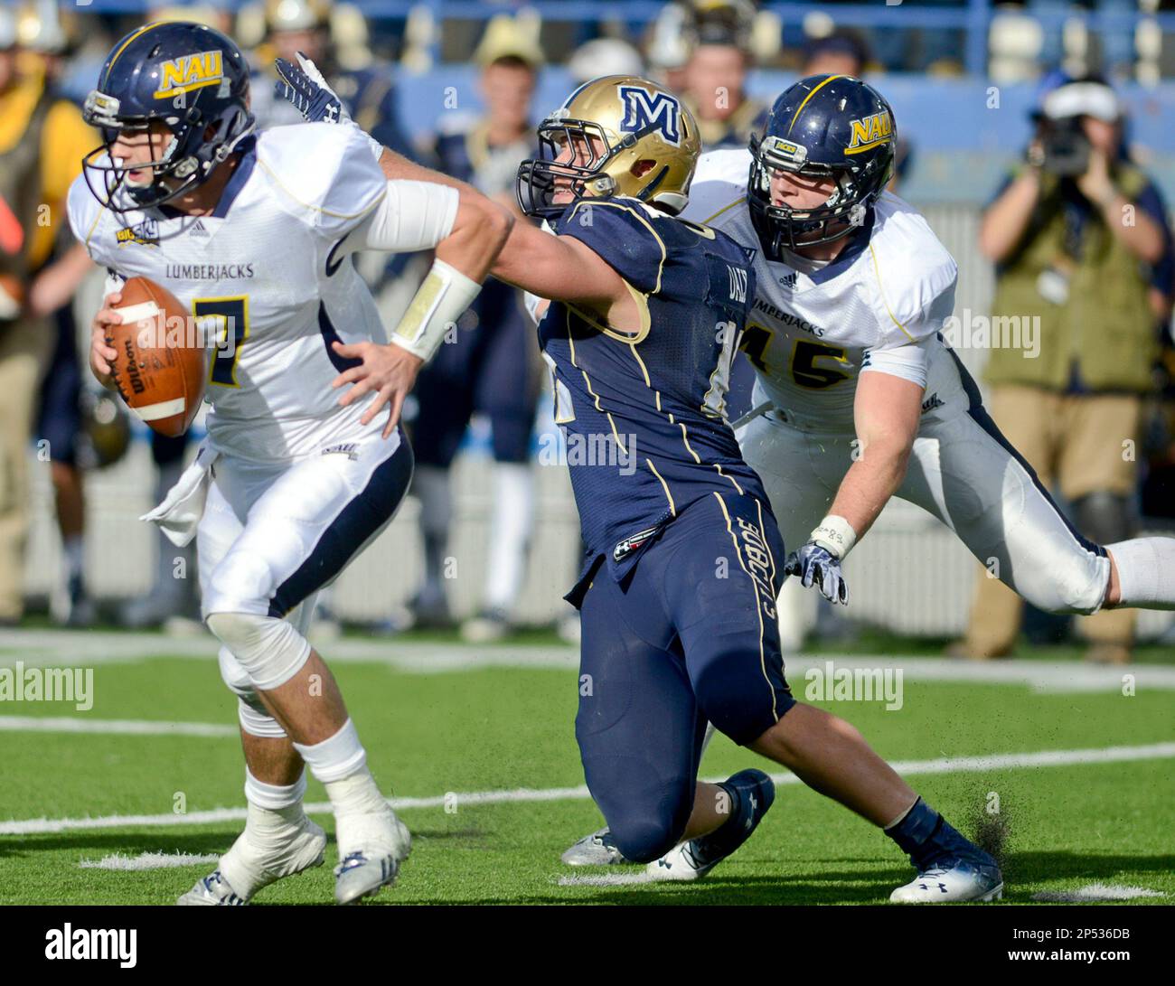 Montana State's defensive end Brad Daly attempts to make the sack on ...