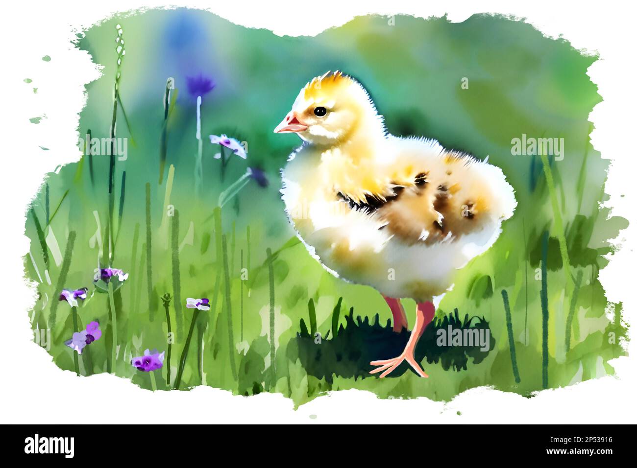Chick on a meadow with wild flowers. Hand painted watercolor drawing on ...