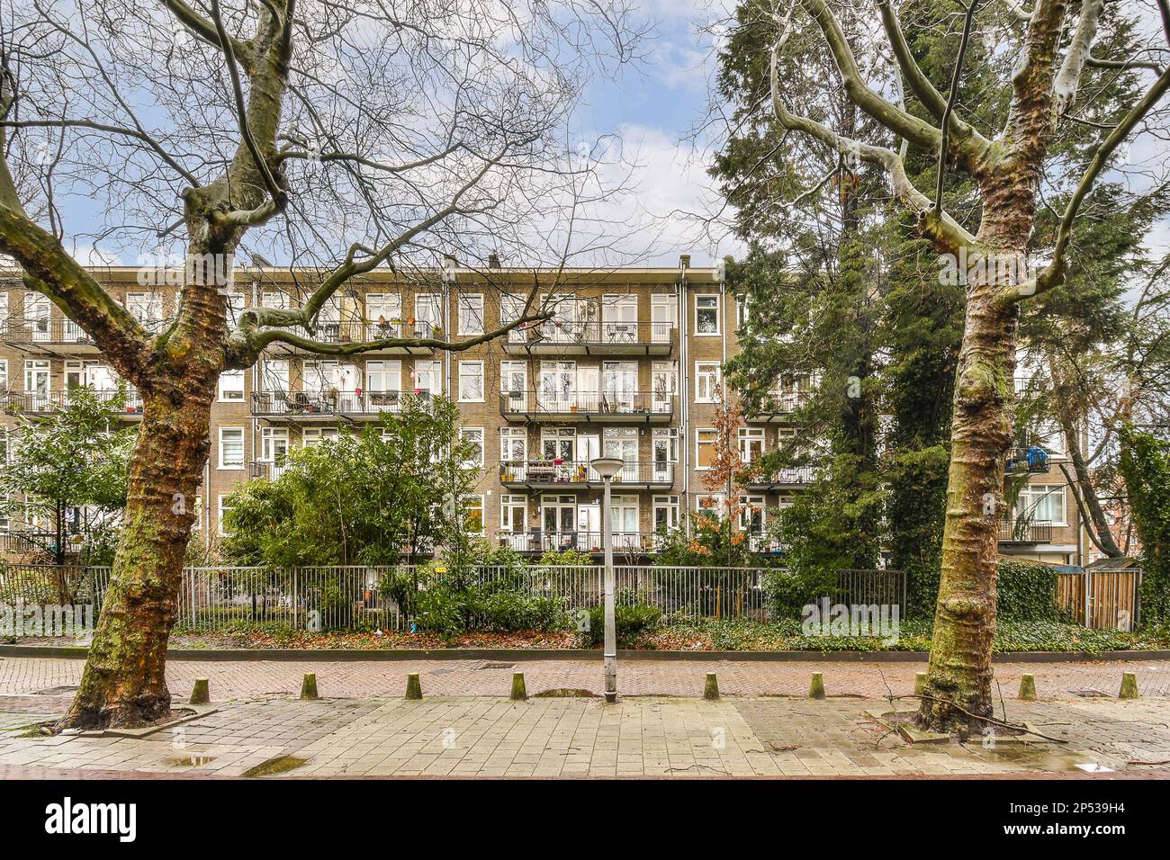 some trees that are in front of a building with no leaves on them and ...