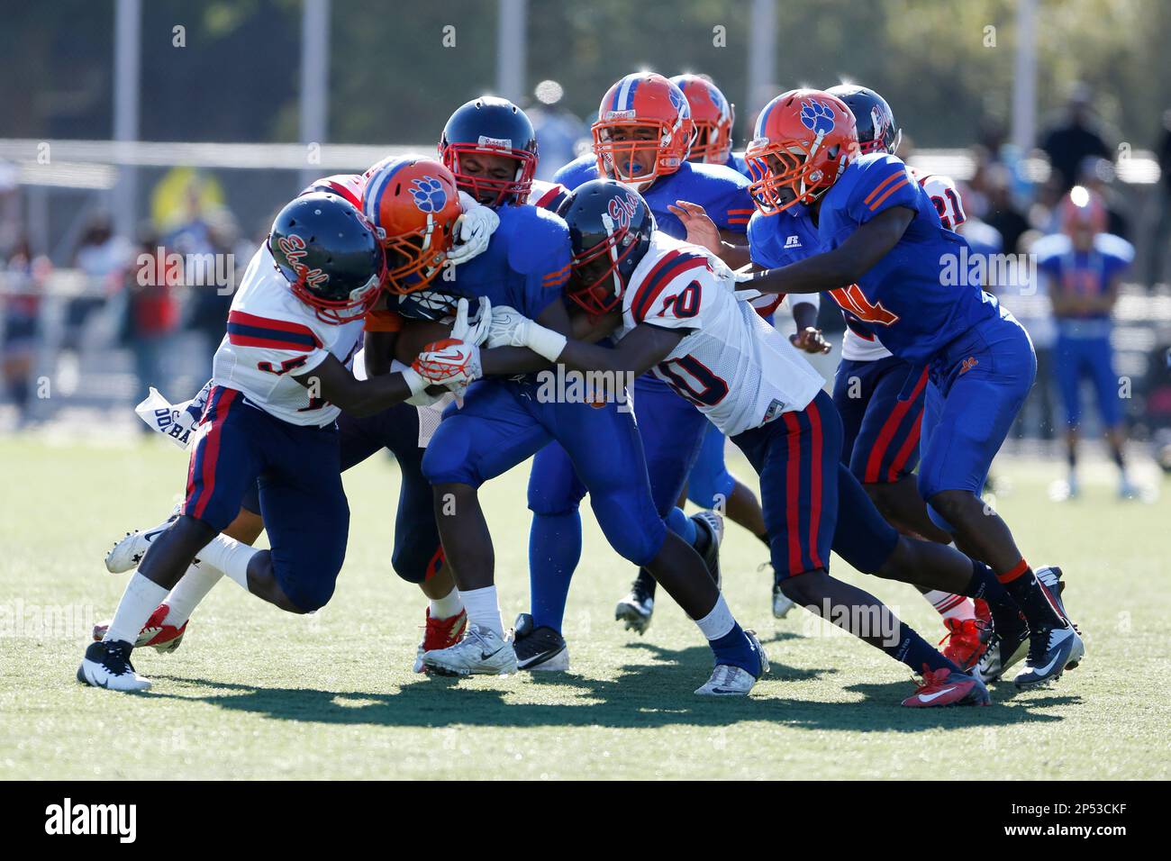 The Erasmus Hall Flying Dutchmen defense gang tackles a Lehman Lions ...