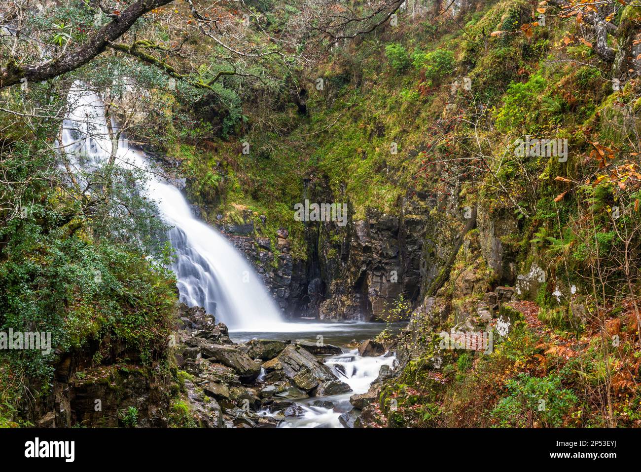 Pistyll y Cain Waterfall in Coed y Brenin Forest Park in Autumn, fall ...
