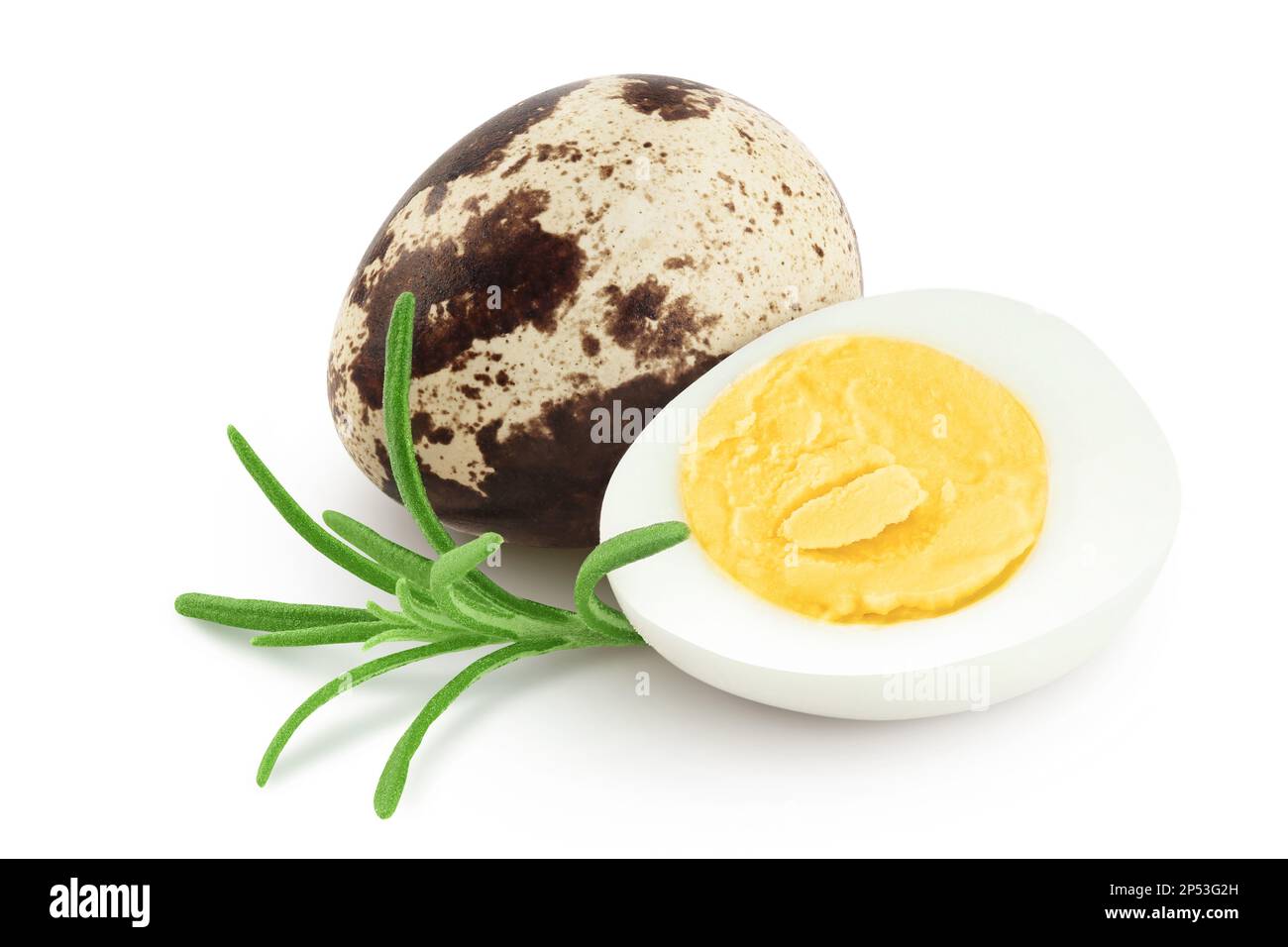 boiled quail egg isolated on white background with full depth of field ...