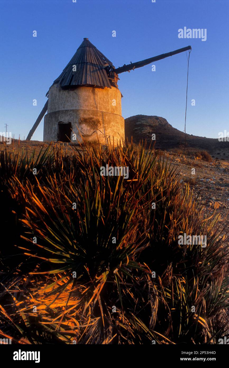 Ruins of an old mill in Campillo de Genoveses.Cabo de Gata-Nijar ...