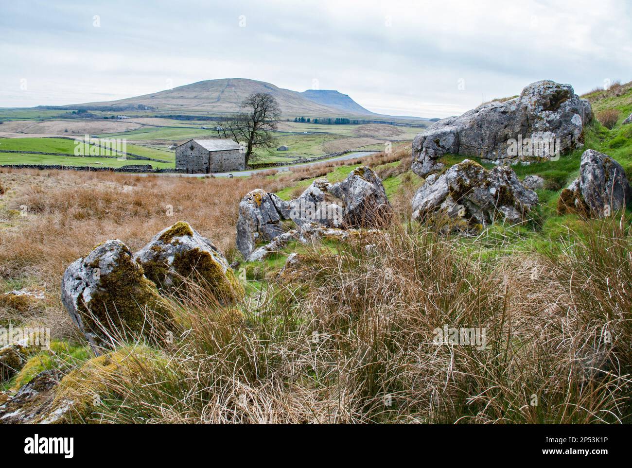 Limestone outcrop below Whernside looking across toward Ingleborough ...