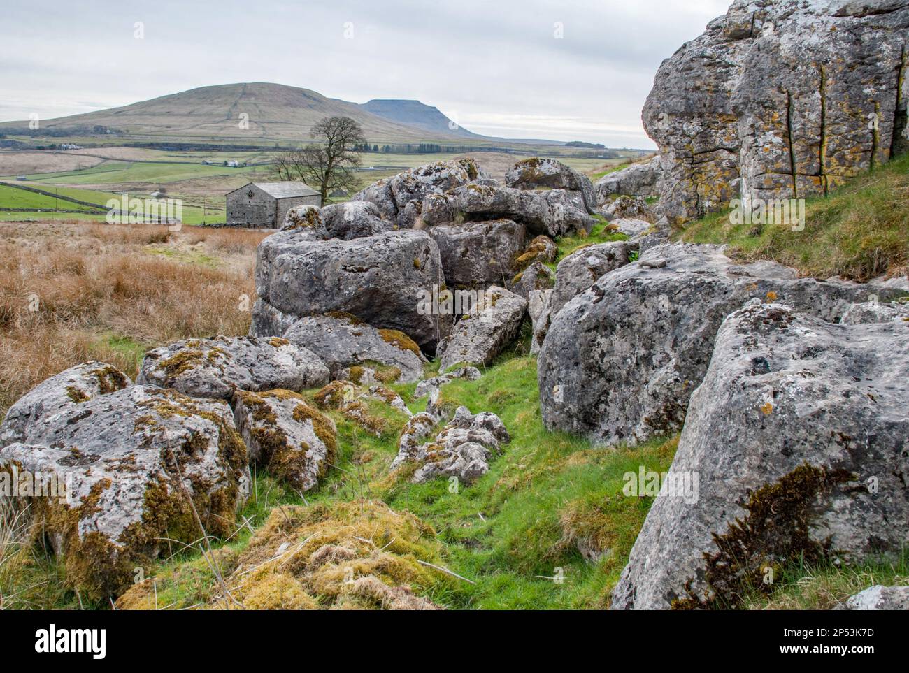 Limestone outcrop below Whernside looking across toward Ingleborough ...