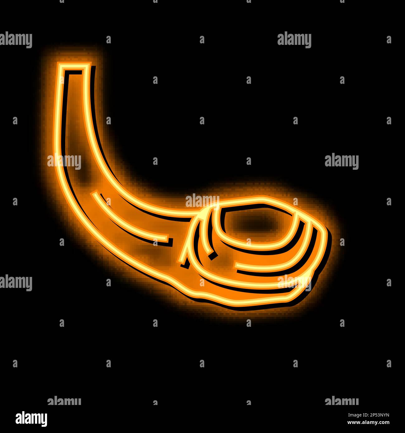 geoduck pacific clam neon glow icon illustration Stock Vector Image ...