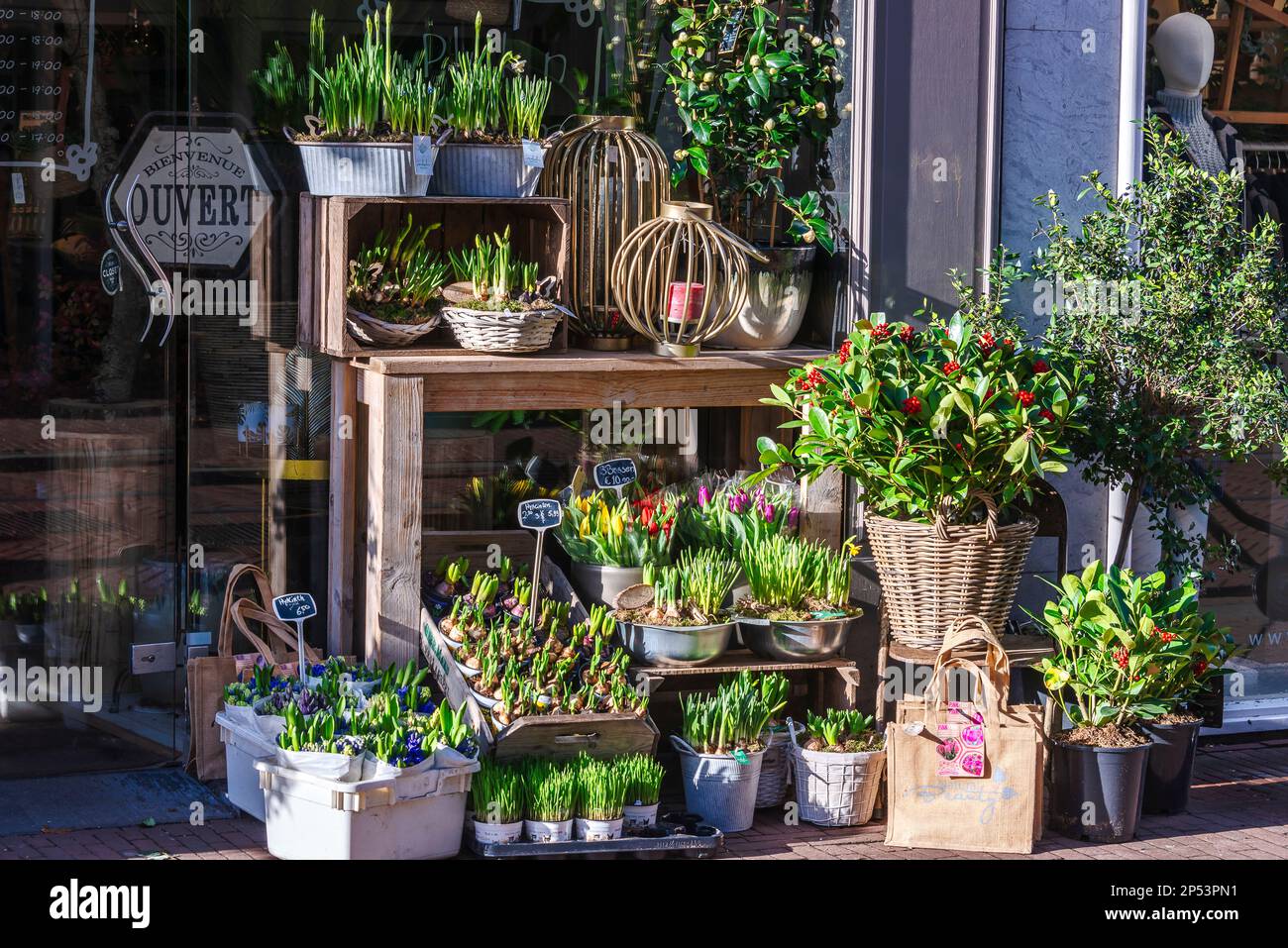 front view of a flower shop in the center of Haarlem Netherlands Stock ...
