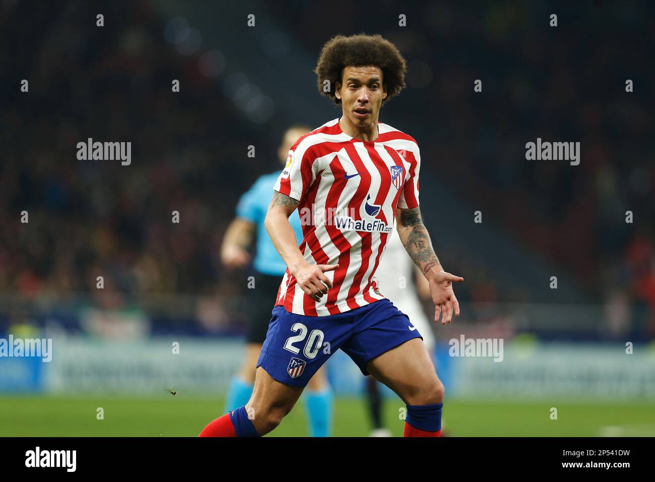 Witsel axel 6 hi-res stock photography and images - Alamy