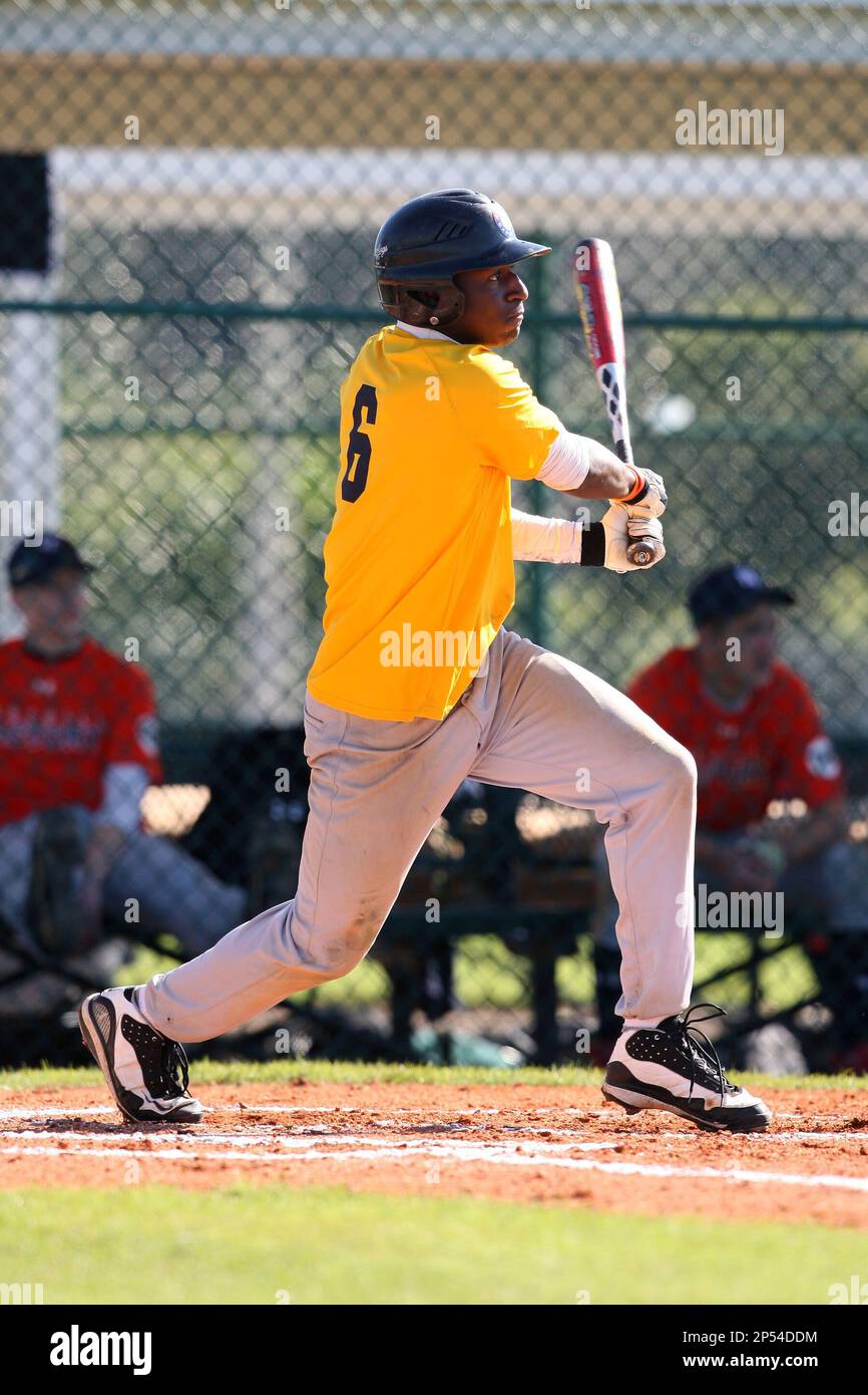 December 30, 2009: Danny Barnes Jr. (6) of the Baseball Factory ...