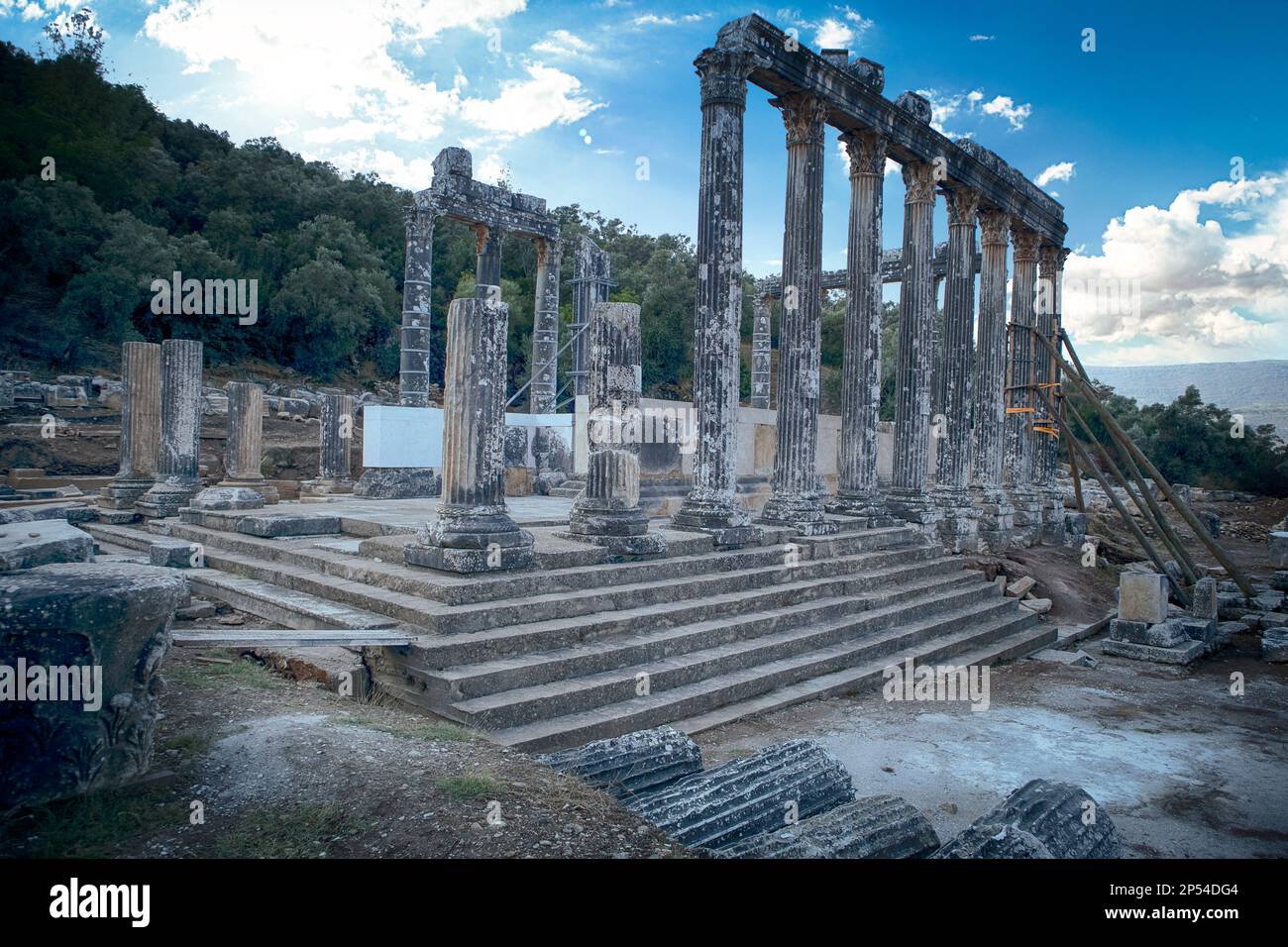 The Temple of Zeus Lepsinos at Euromos Ruins in Milas, Mugla, Turkey ...