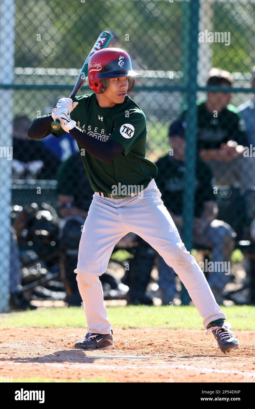 December 29, 2009: Rosendo Lara Jr (10) of the Baseball Factory ...