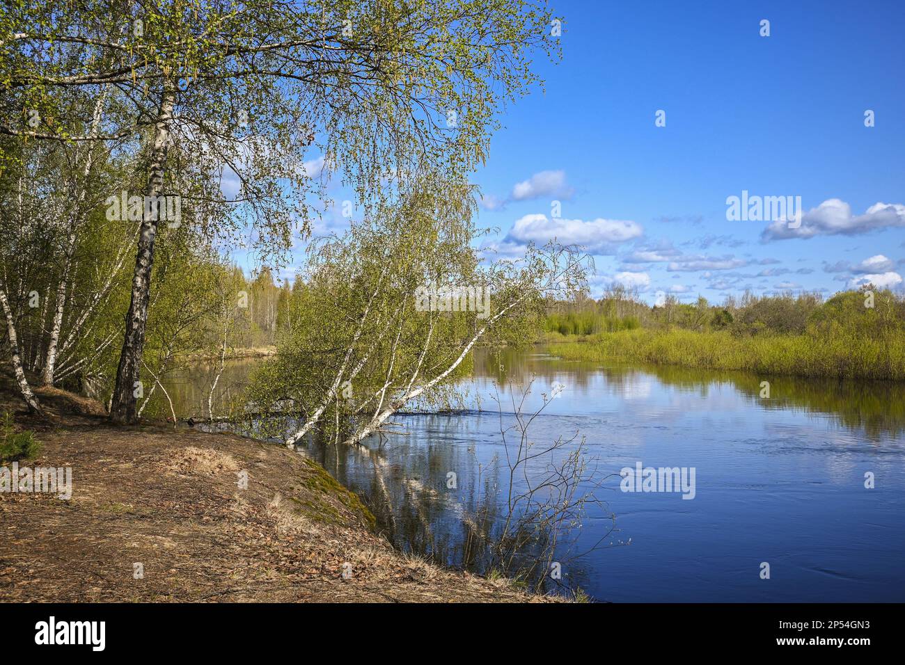 Spring in the national park of central Russia. Spring river landscape ...