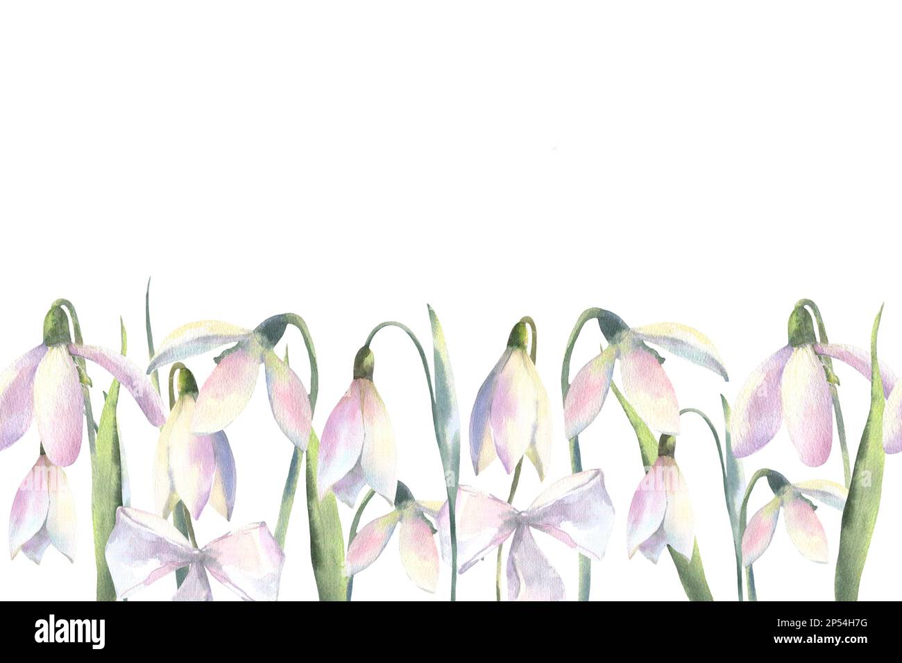 Seamless border of watercolor spring flowers of snowdrops. Hand painted ...