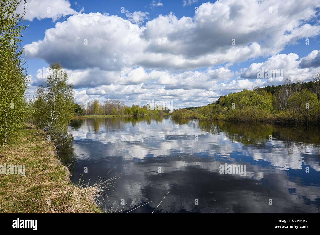 Spring in the national park of central Russia. Spring river landscape ...
