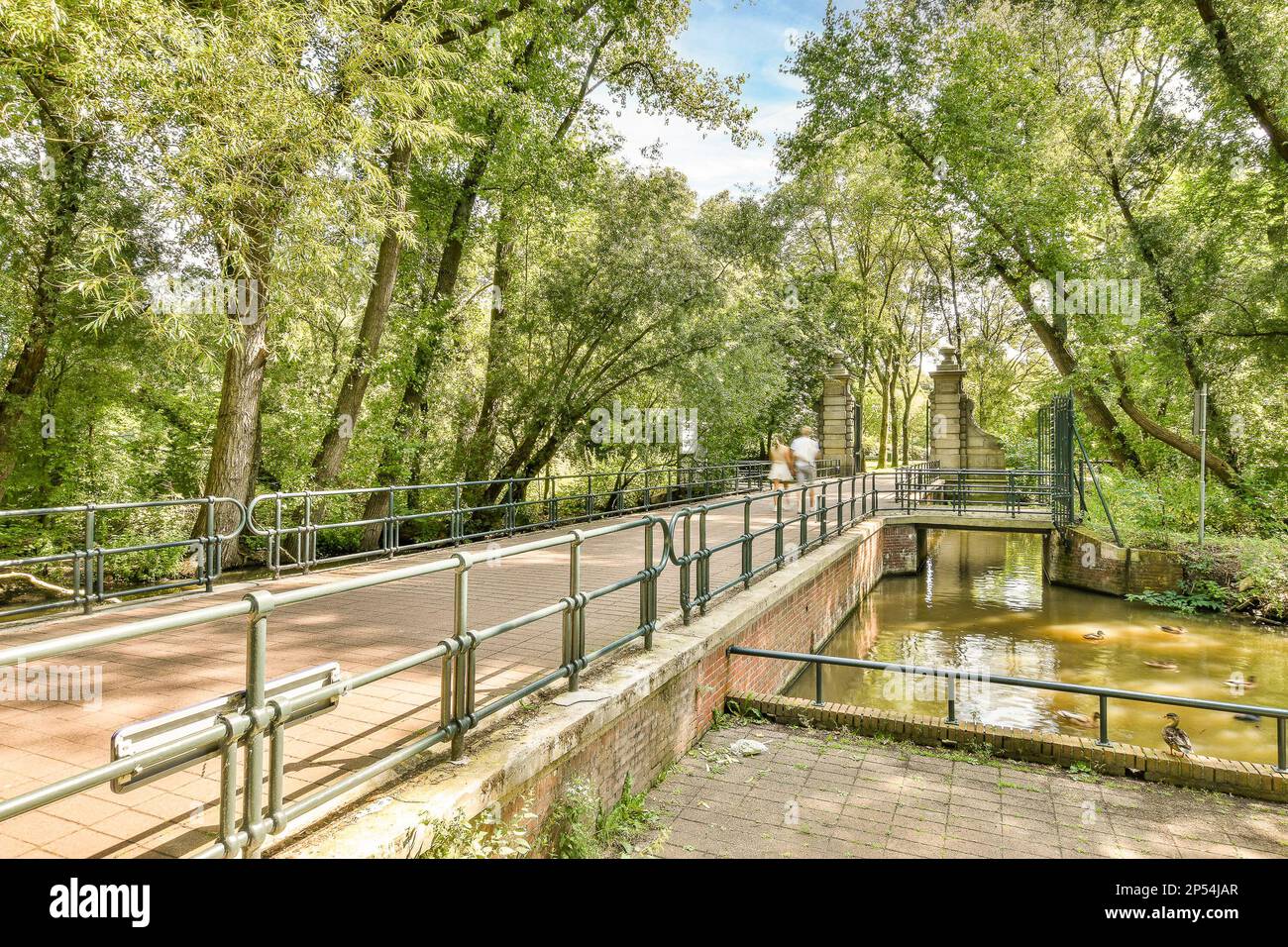 a bridge over a small stream in the park, with trees lining the walkway ...