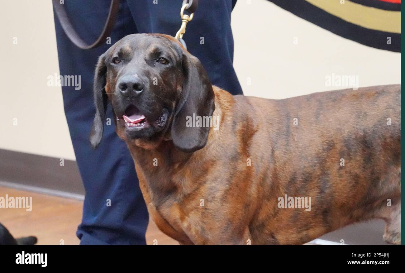 St louis fire rescue 2 hi-res stock photography and images - Alamy