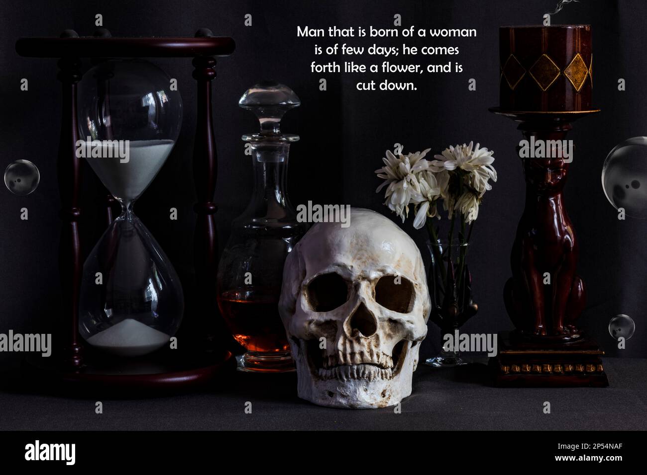 Dark art skull wilted hi-res stock photography and images - Alamy