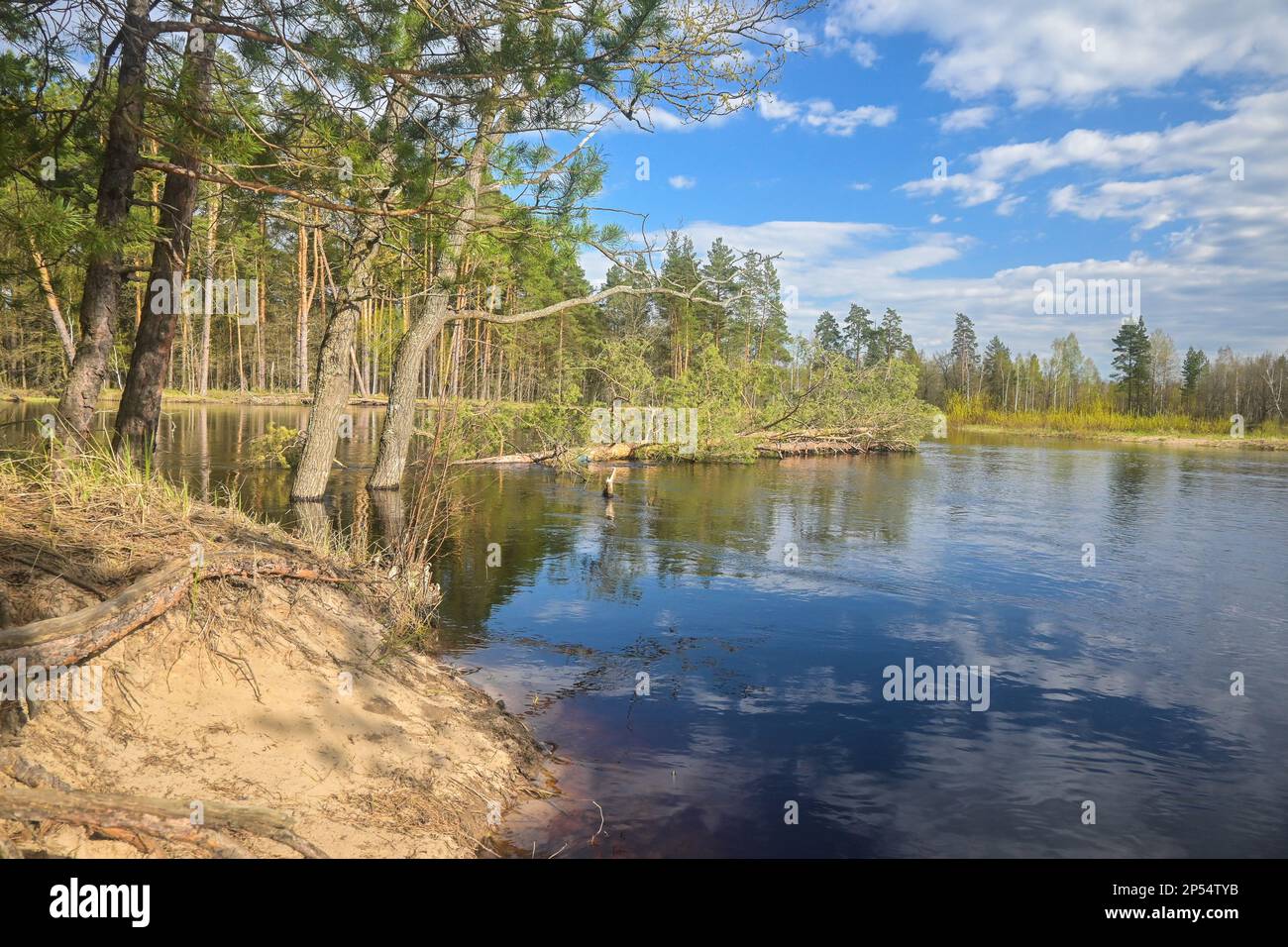 Spring in the national park of central Russia. Spring river landscape ...
