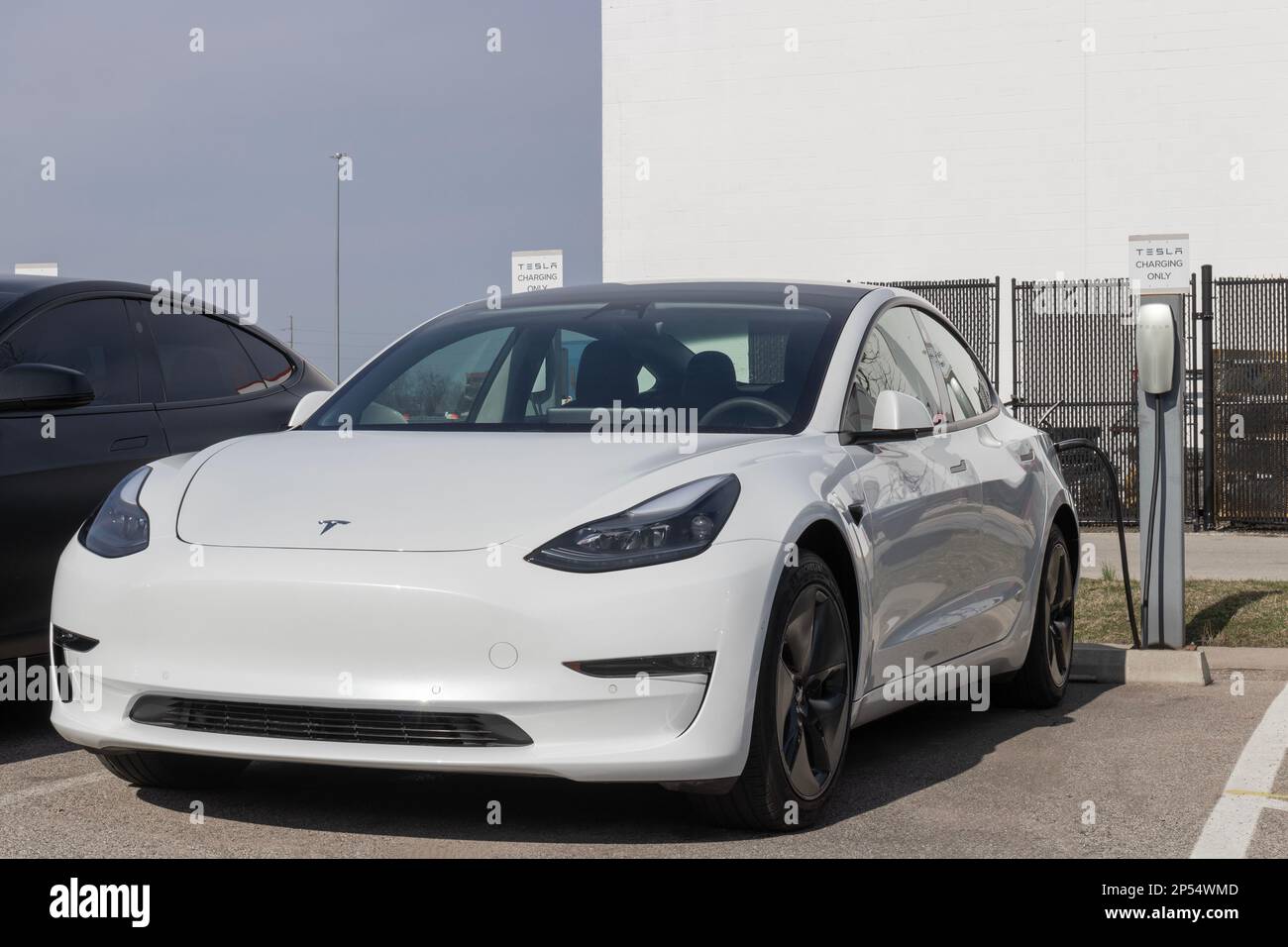Indianapolis - Circa March 2023: Tesla EV electric vehicles on display ...