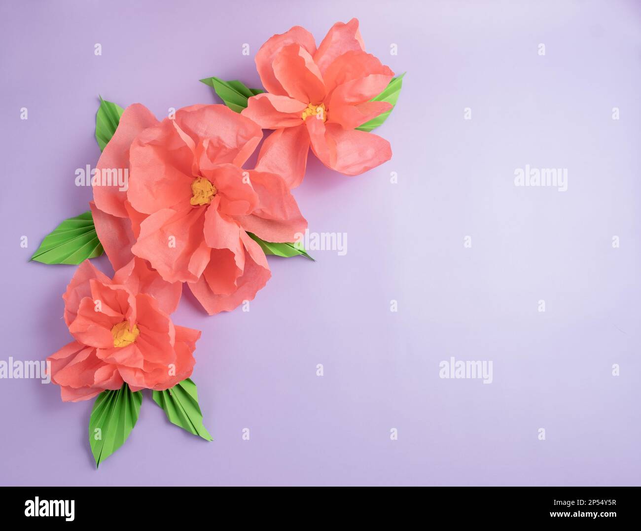 Paper flower rose diy hi-res stock photography and images - Alamy