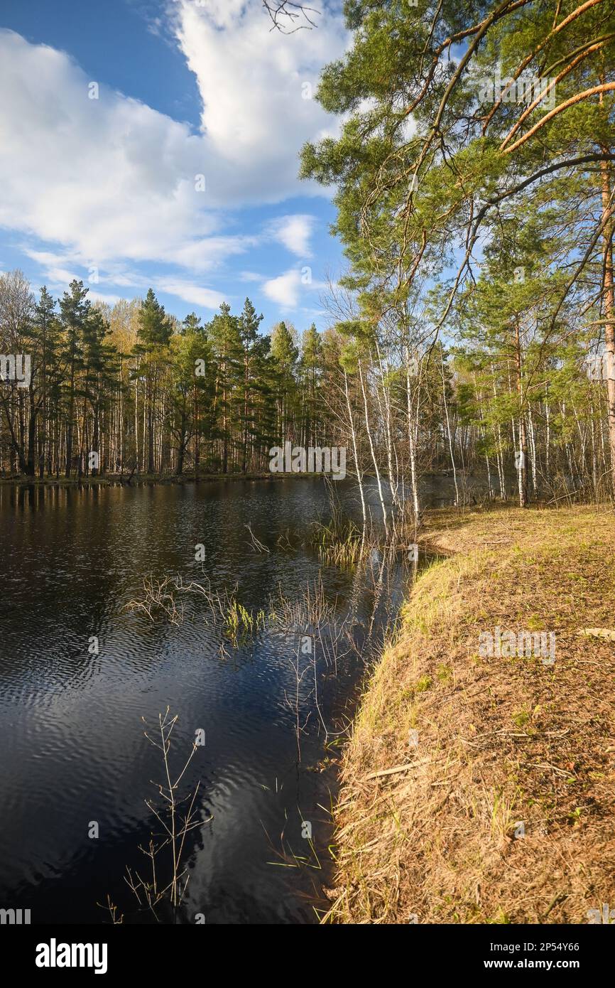 Spring in the national park of central Russia. Spring river landscape ...