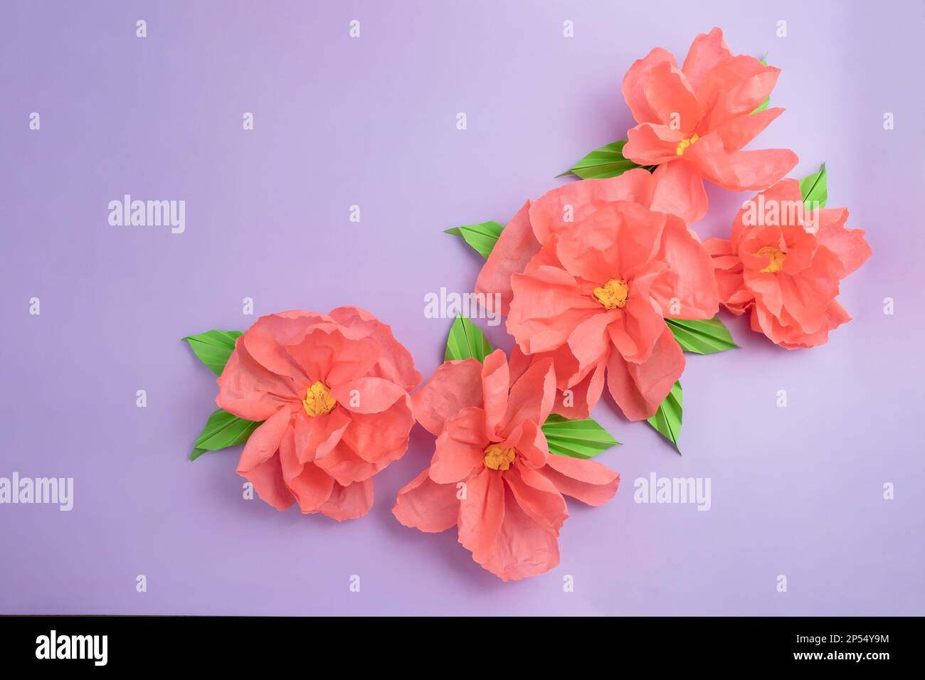 Paper flower rose diy hi-res stock photography and images - Alamy