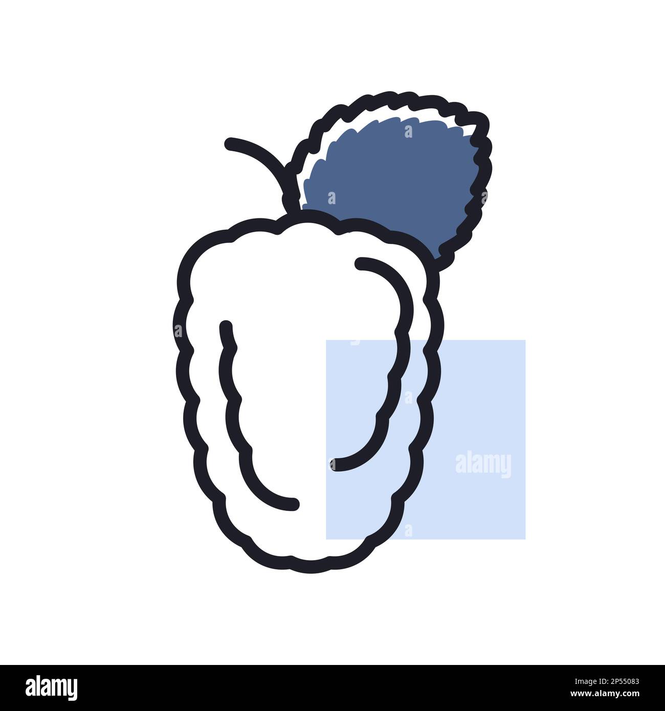 Mulberry fruit with leaves vector icon. Graph symbol for food and ...