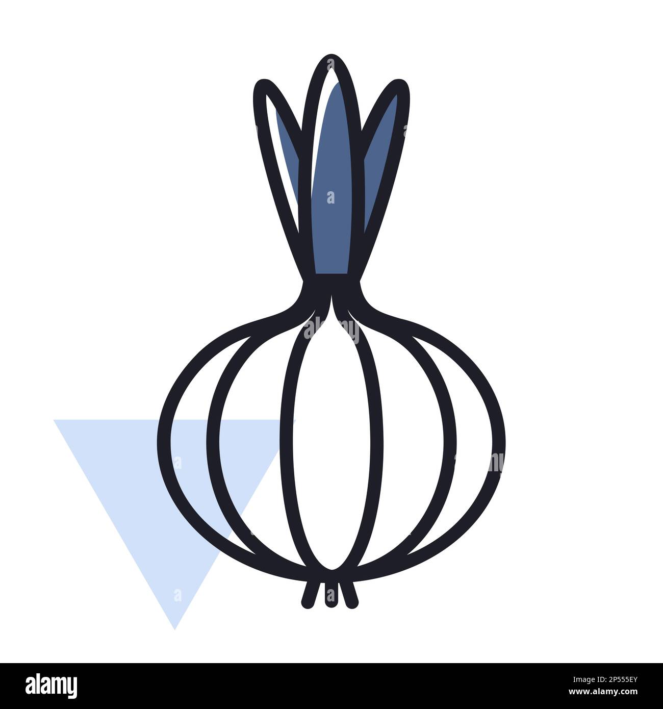 Onion isolated design vector icon. Vegetable sign. Graph symbol for ...