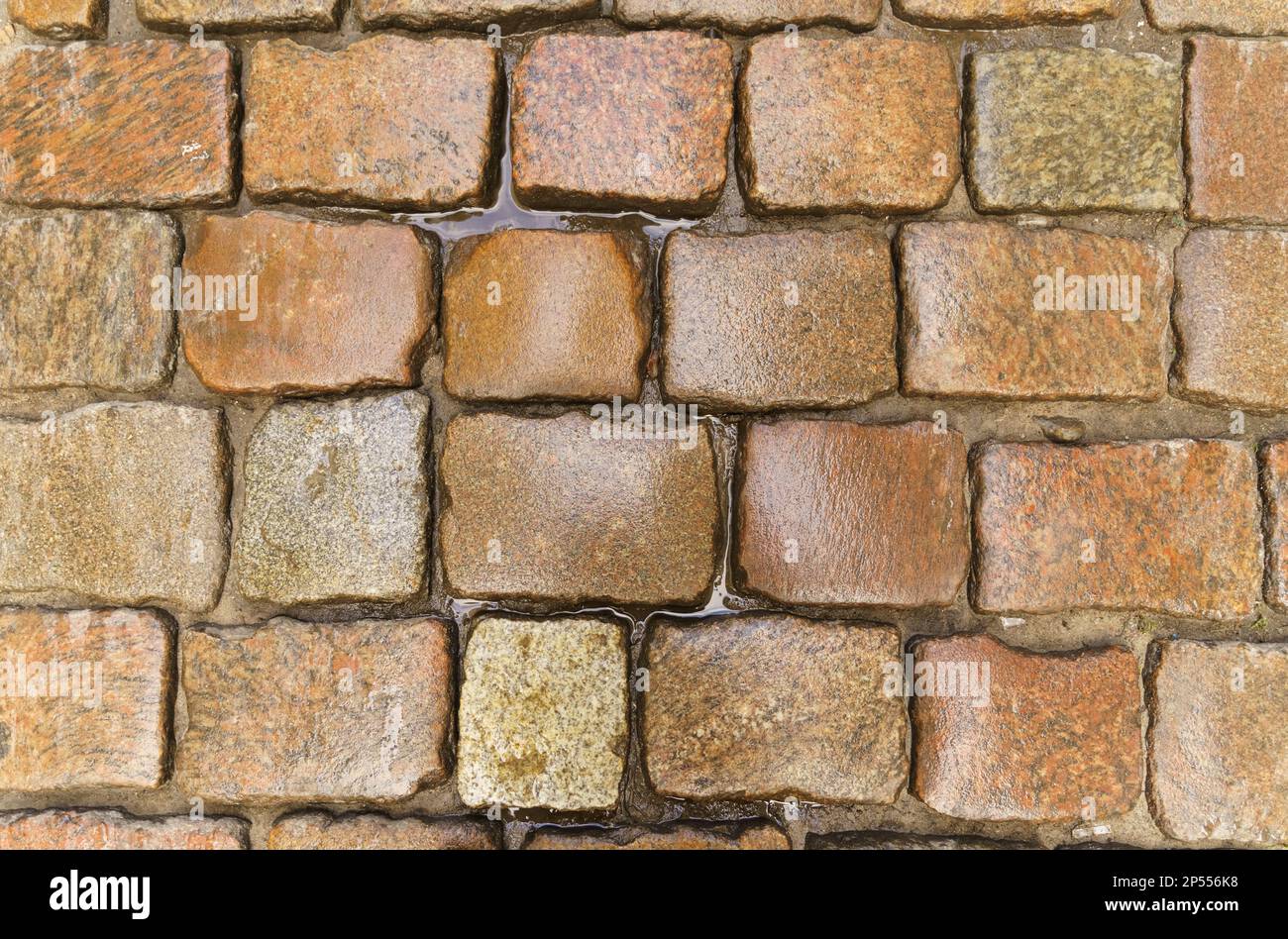 Wet stone pavement from blocks after rain. Texture, background Stock ...