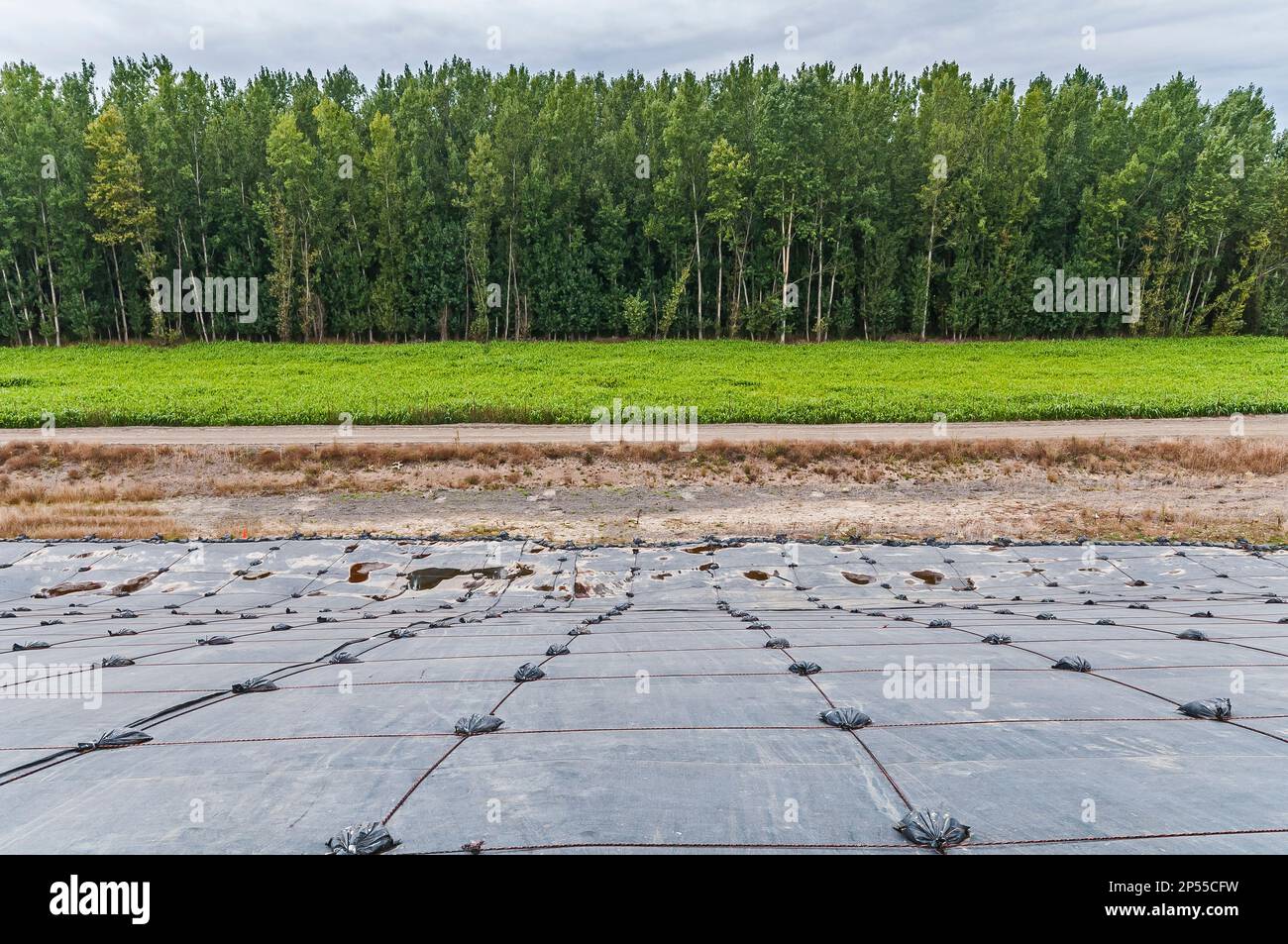 Weighted plastic sheeting covers a hillside in an active landfill ...