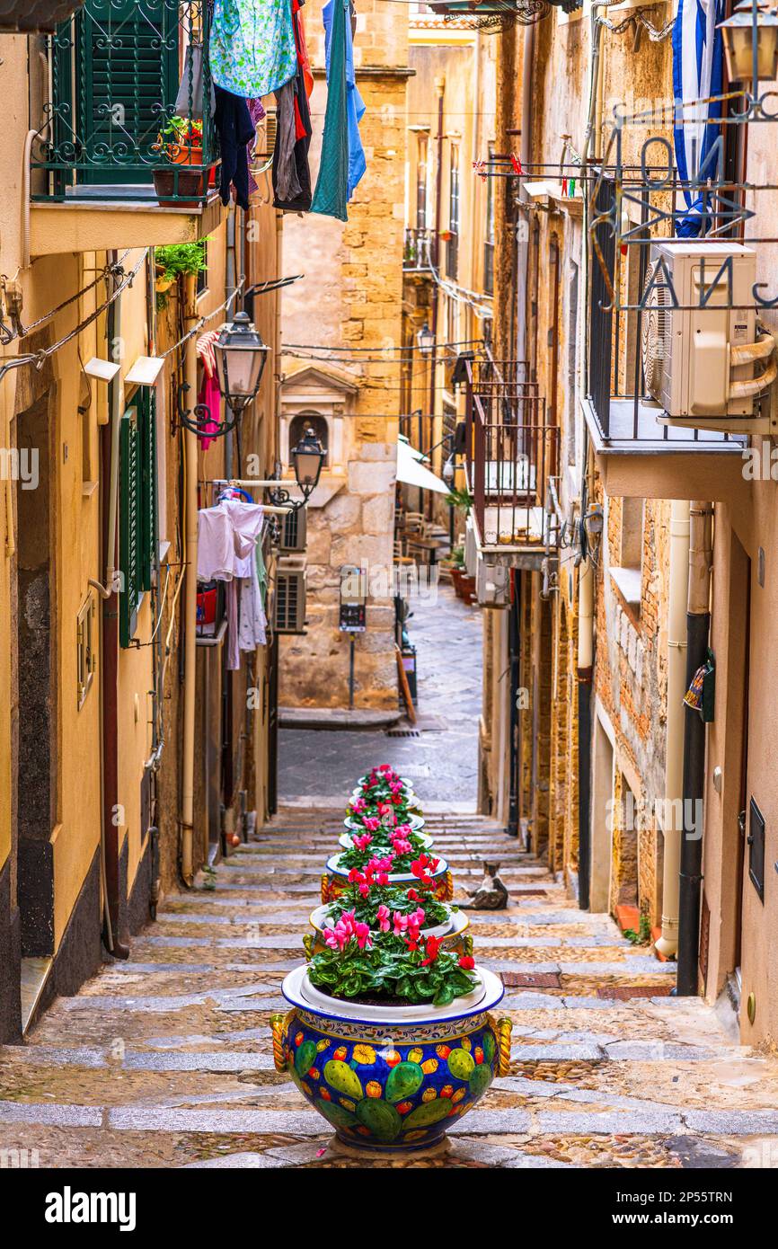 Cefalu, Sicily, Italy alleyways with potted flowers Stock Photo - Alamy