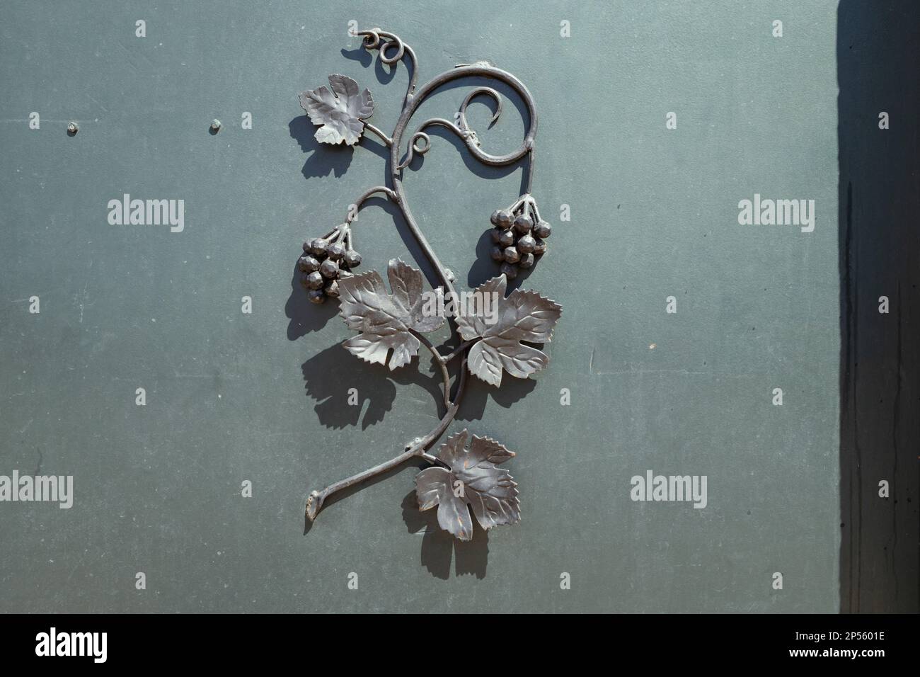 wrought-iron grille showing the vines in Eger, Hungary Stock Photo - Alamy
