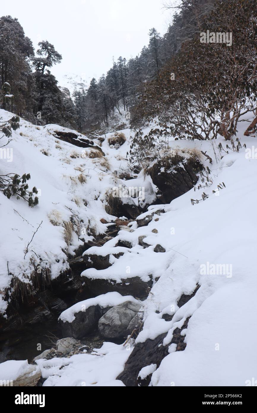 Cold river stream snow in hi-res stock photography and images - Alamy