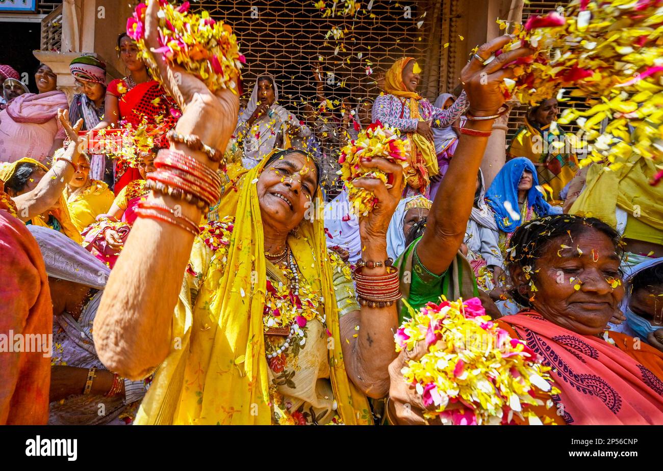 VRINDAVAN, INDIA - MARCH 6: Widows throw petals and Flowers while ...