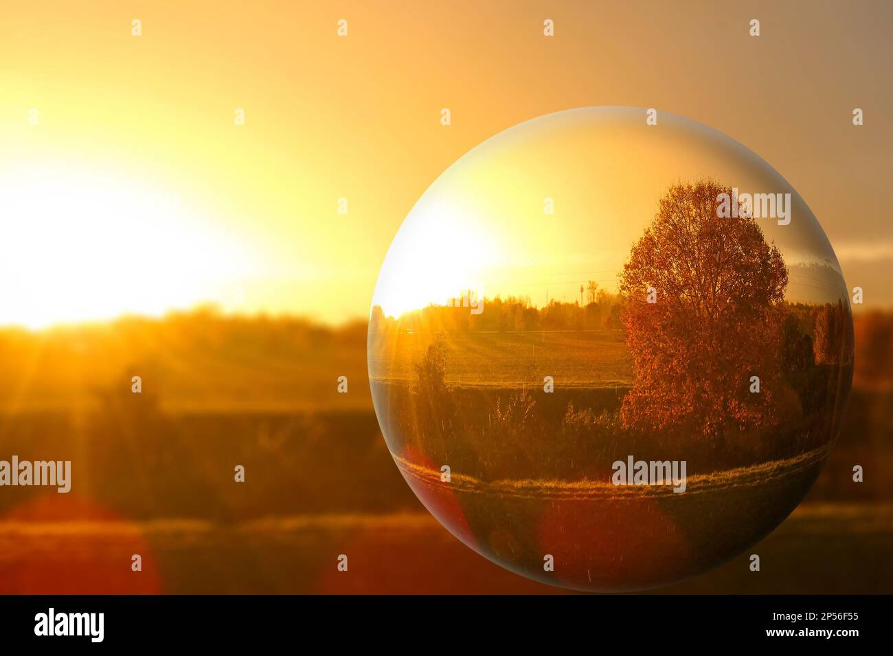 A tree illuminated by the yellow setting sun in a photo sphere Stock ...