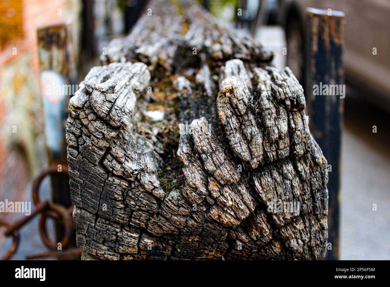 Rotten beam hi-res stock photography and images - Alamy