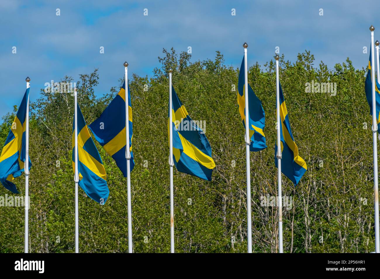 Several swedish flags flying on flagpoles Stock Photo - Alamy
